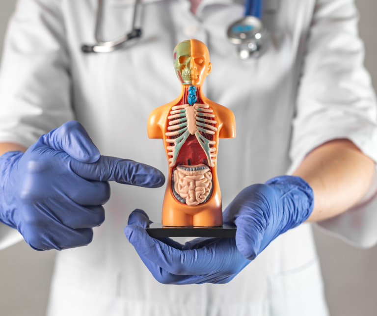 Sindrom iritabilnog crijeva - koji su simptomi